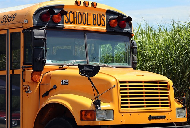Wisconsin is awarded 65 electric school buses. They could reduce costs ...