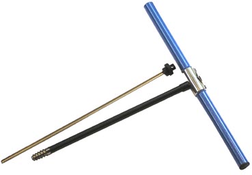 Value of a Tree – Environmental Education