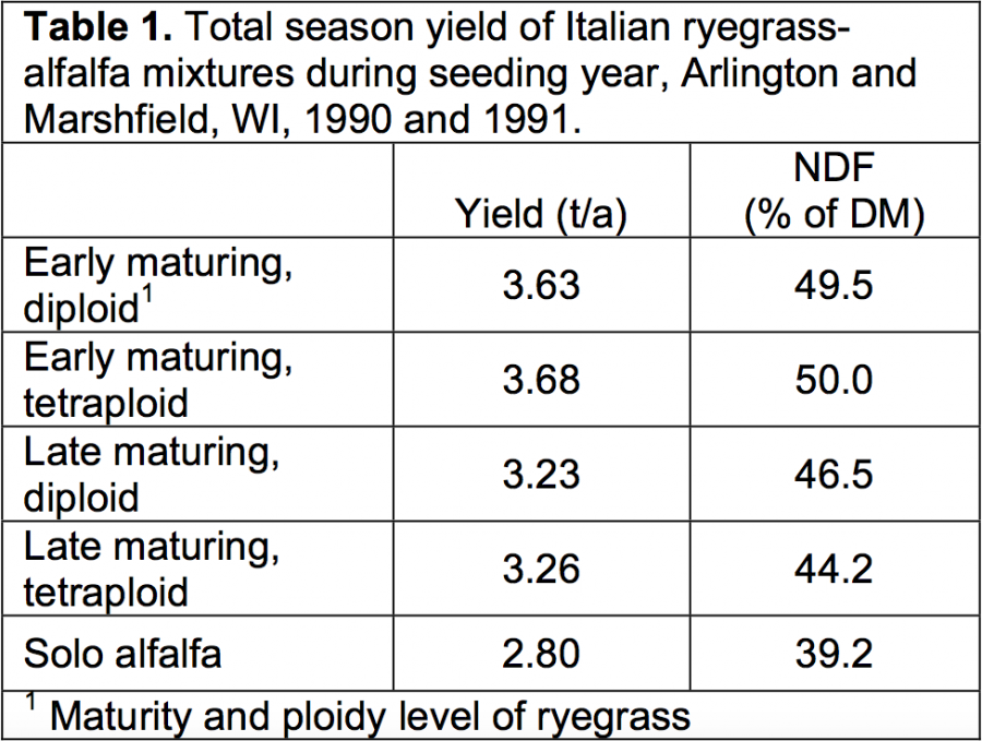 Italian Ryegrass as a Companion for Alfalfa Seeding – Team Forage