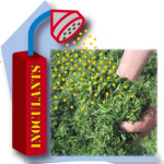 Silage inoculants: What the research tells us about when and how to use ...