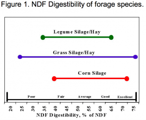 Understanding NDF Digestibility of Forages – Team Forage