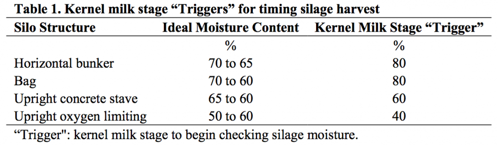 Sampling Corn Silage Fields to Accurately Determine Moisture – Team Forage