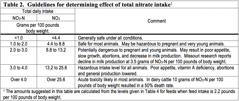 Nitrate Poisoning in Cattle, Sheep and Goats – Team Forage