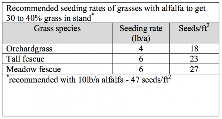 Alfalfa Grass Mixtures – Team Forage