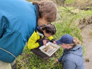 Stewards of the Local Waters – Impacts