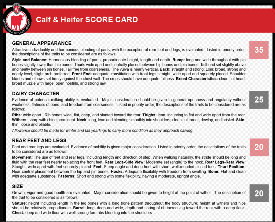 Youth Dairy – Kewaunee County Agriculture