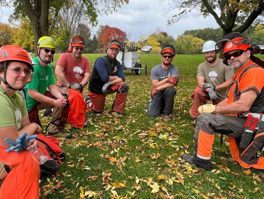 Sept 15 & 16: Chainsaw Safety Training – Upham Woods Outdoor Learning ...